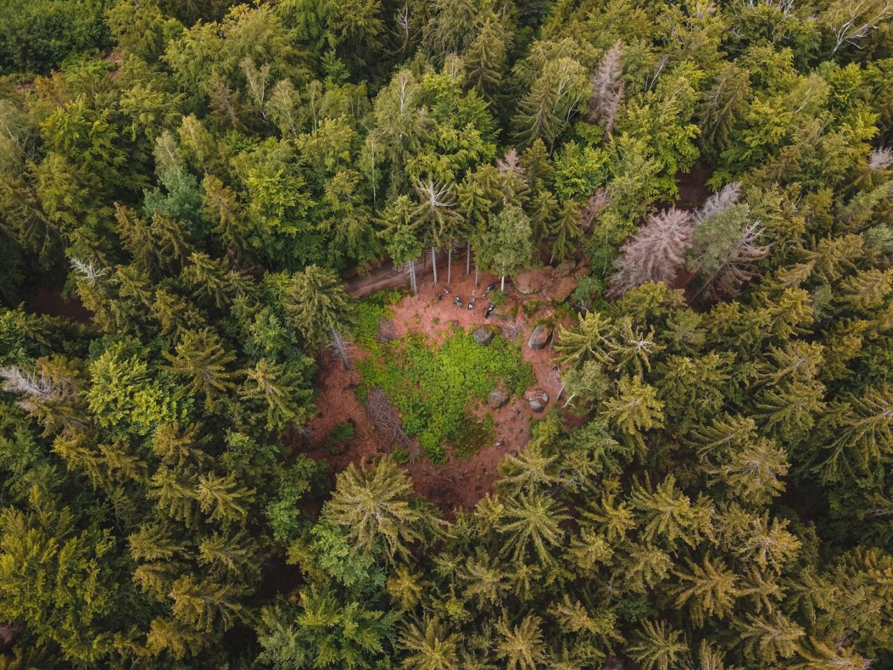 Die 13 besten Dinge, die man in Liberec tun kann - 2025 - TryTravel