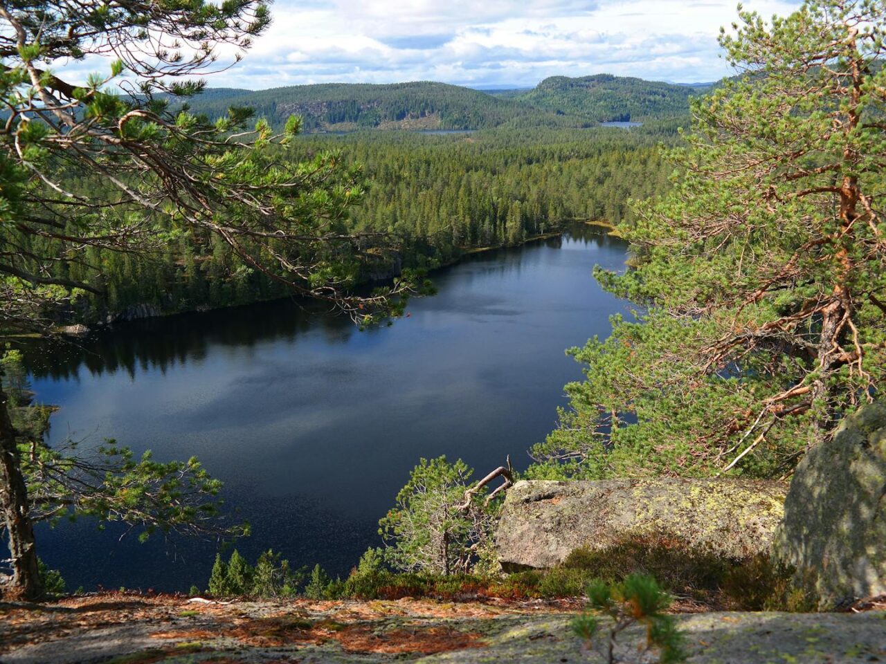 Le 1 migliori cose da fare a Drammen - 2026 - TryTravel