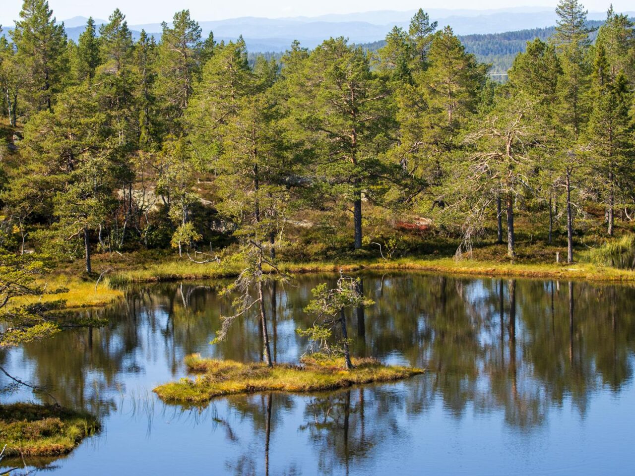Le 1 migliori cose da fare a Drammen - 2026 - TryTravel