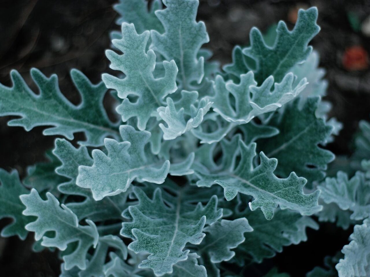 The 6 Best Things to Do in Almada - 2025 - TryTravel