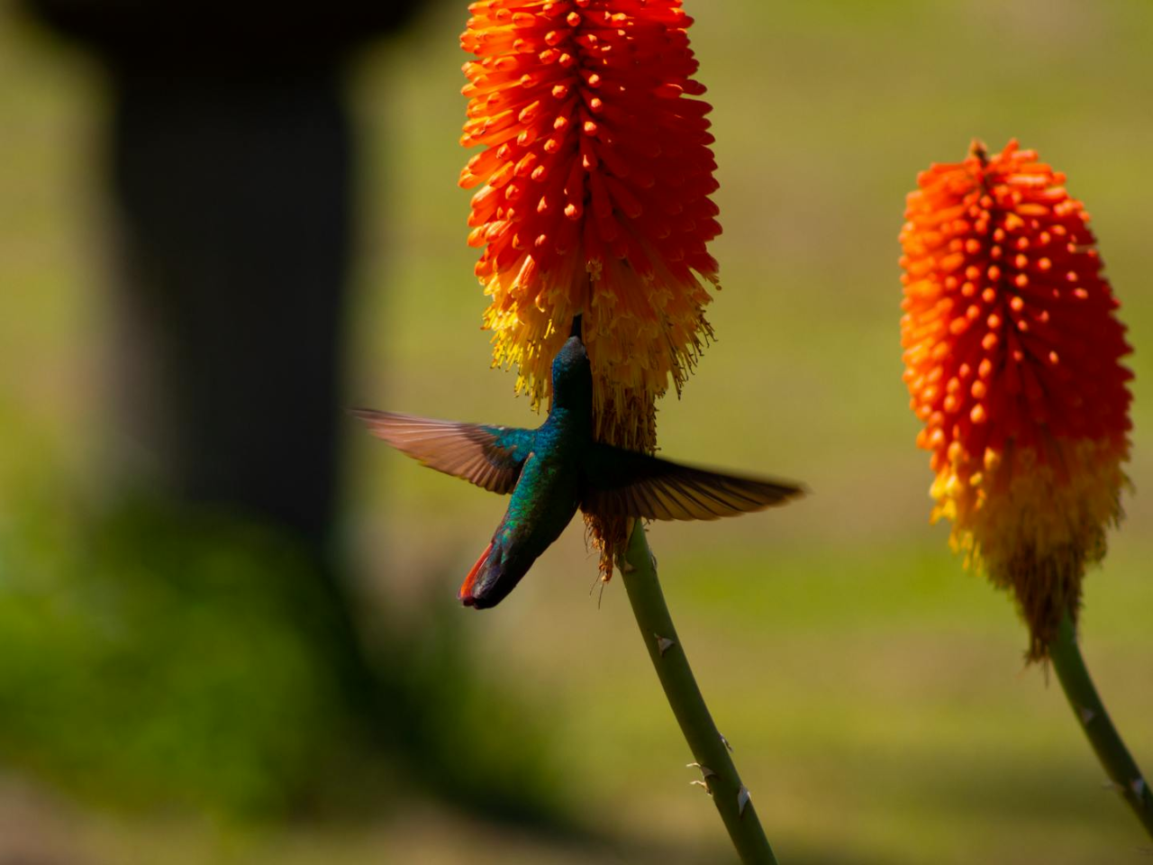 The 6 Best Things to Do in Almada - 2025 - TryTravel