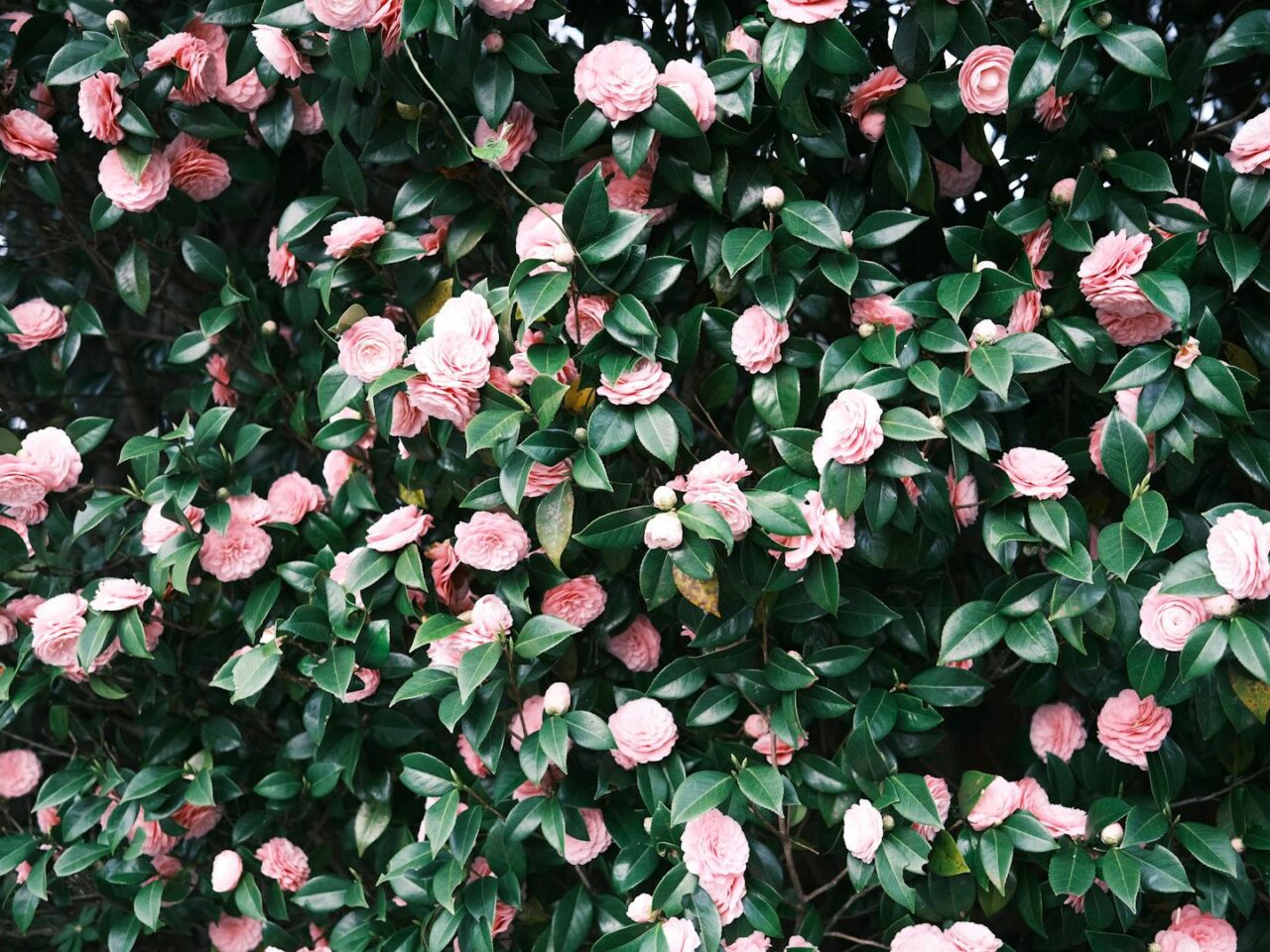 The 6 Best Things to Do in Almada - 2025 - TryTravel