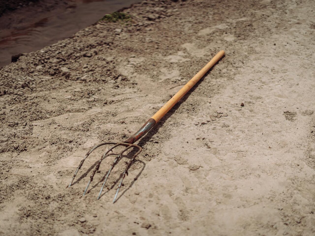 The 7 Best Things to Do in Šiauliai - 2025 - TryTravel