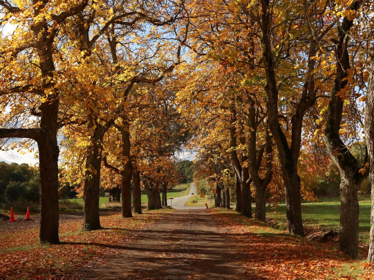 The 4 Best Things to Do in Jönköping - 2025 - TryTravel