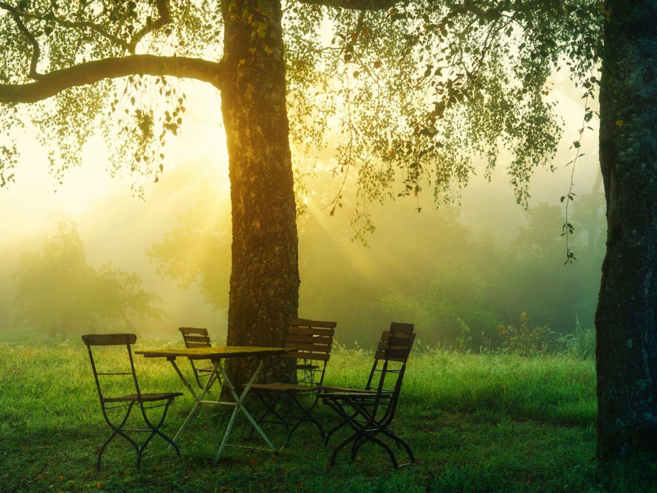 Les 7 meilleures choses à faire à Winterthour - 2025 - TryTravel