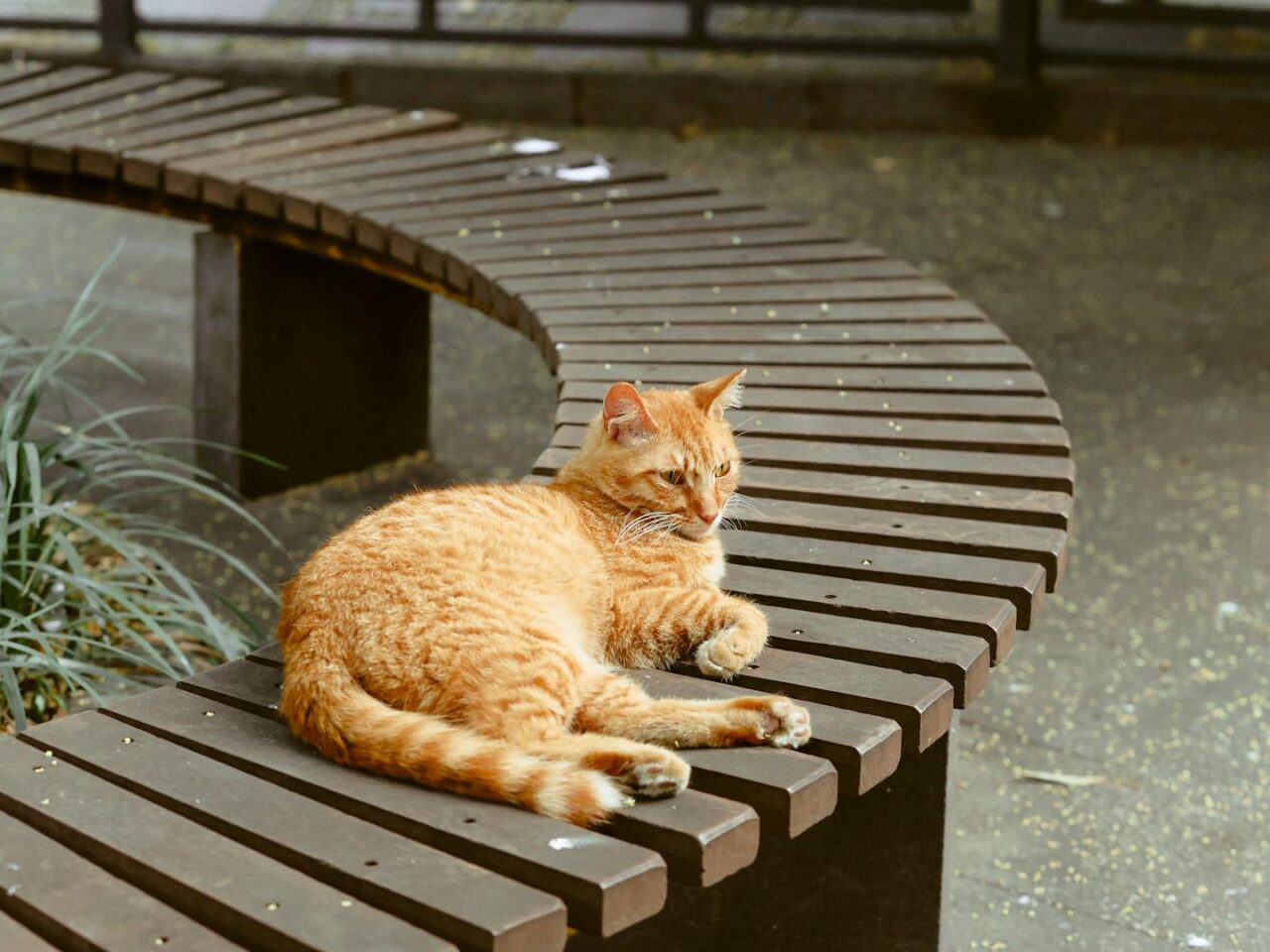 Les 7 meilleures choses à faire à Winterthour - 2025 - TryTravel