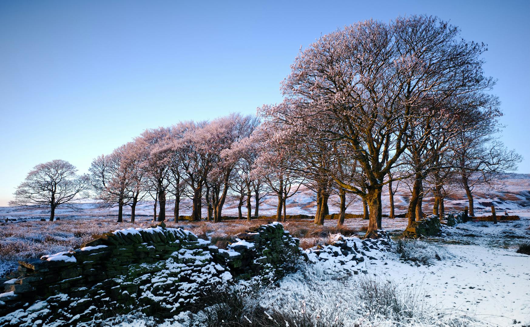 The 3 Best Things to Do in Rochdale - 2026 - TryTravel