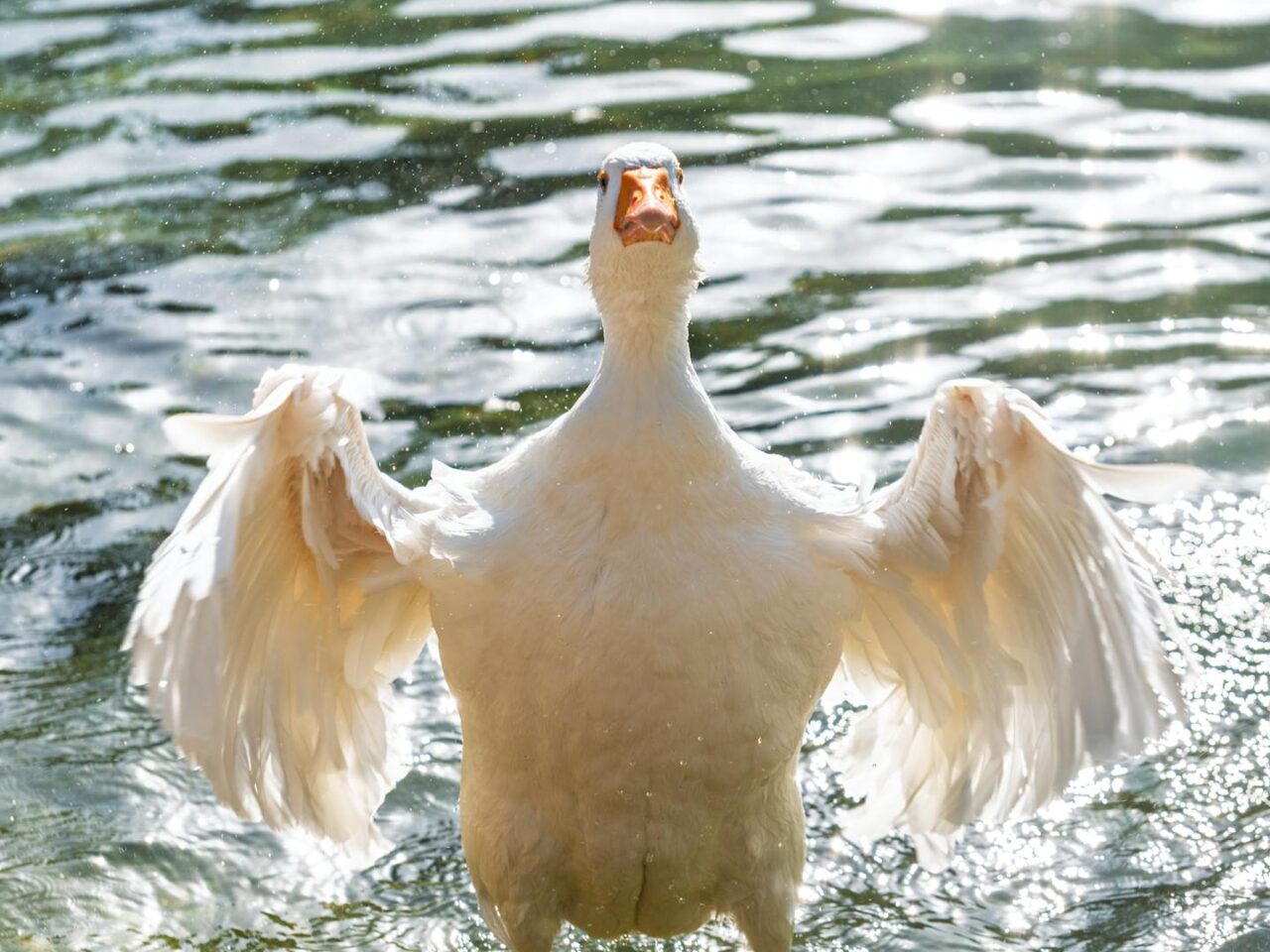 Les 7 meilleures choses à faire à Winterthour - 2025 - TryTravel