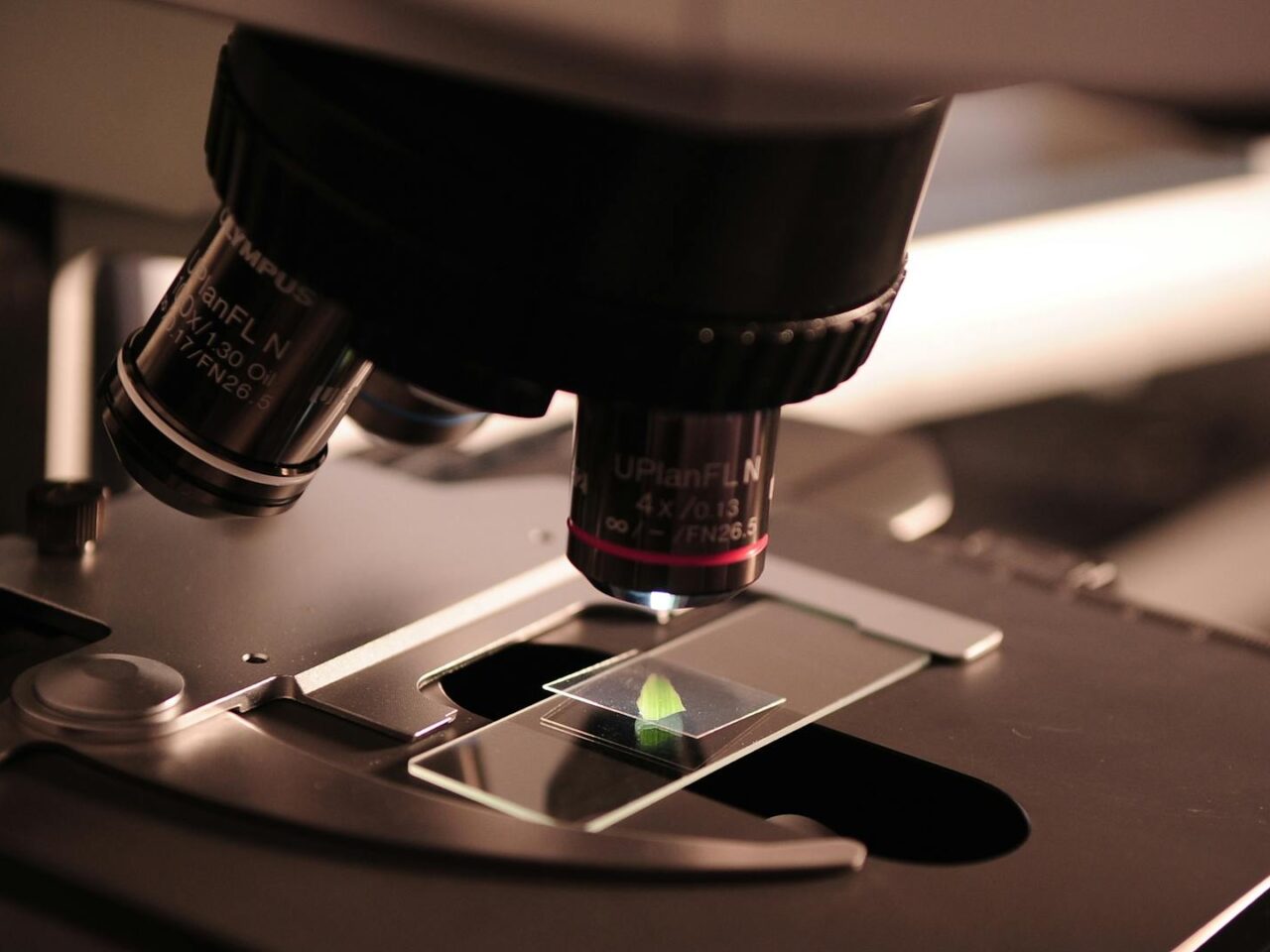 Les 7 meilleures choses à faire à Winterthour - 2025 - TryTravel