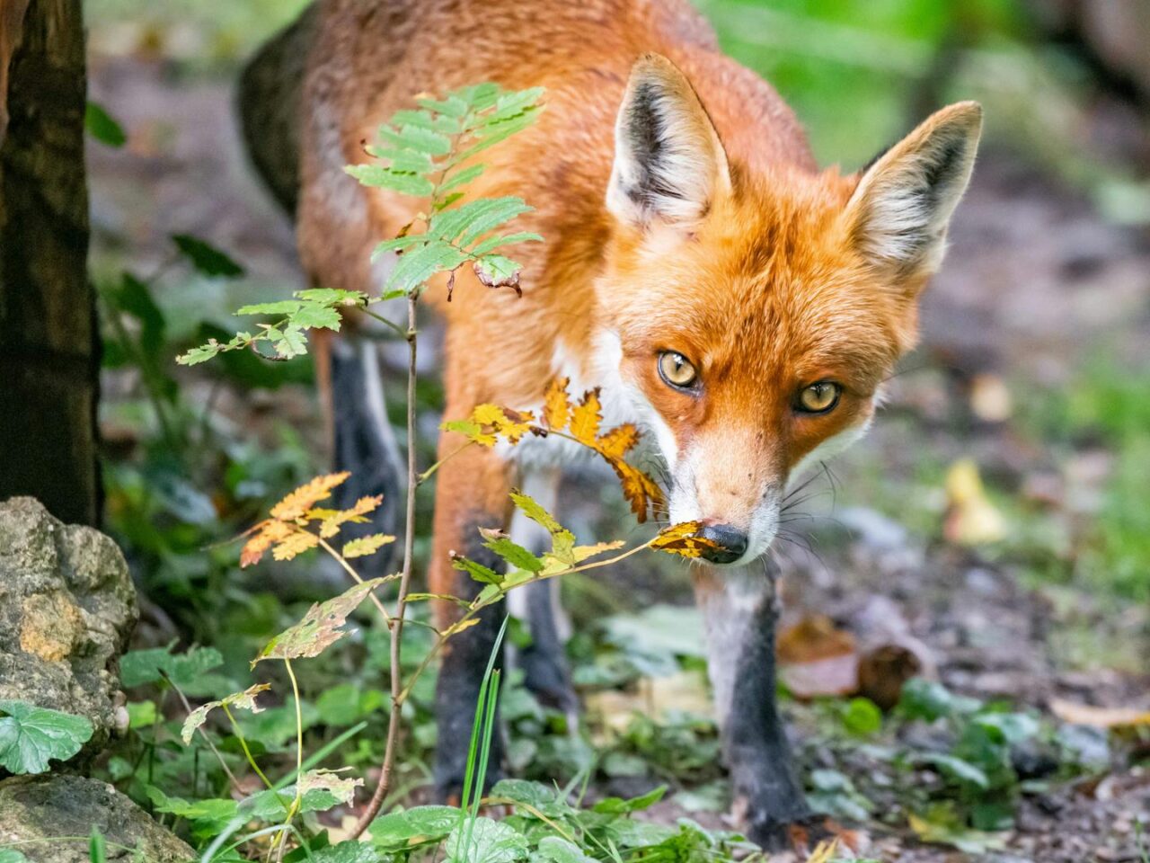 Les 7 meilleures choses à faire à Winterthour - 2025 - TryTravel