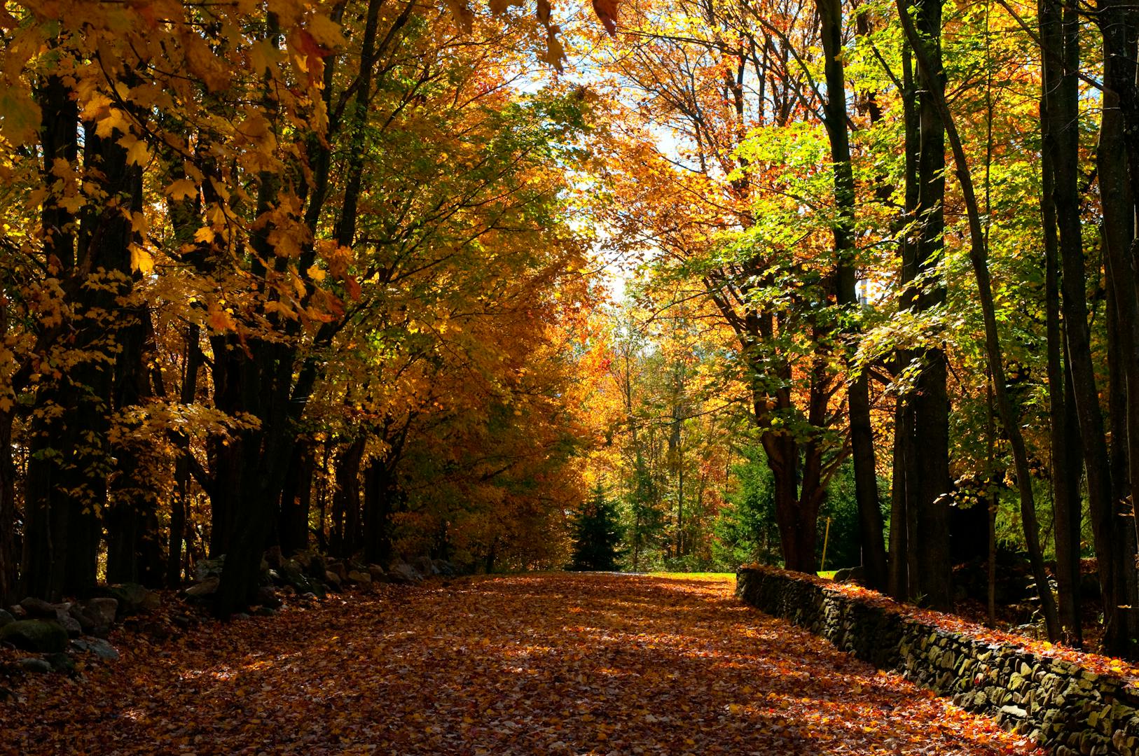 Las 7 mejores cosas que hacer en Sutton Coldfield - 2026 - TryTravel