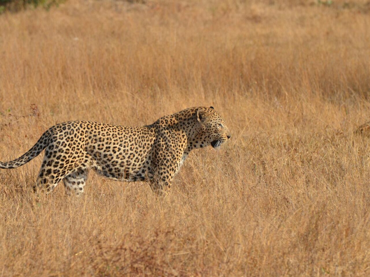 Les 7 meilleures choses à faire à Winterthour - 2025 - TryTravel