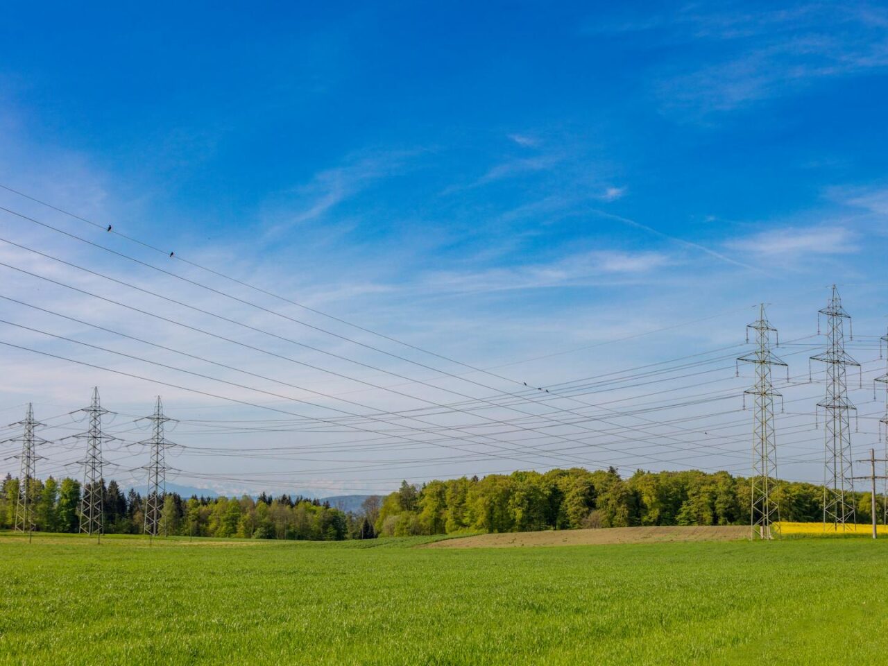 Les 7 meilleures choses à faire à Winterthour - 2025 - TryTravel