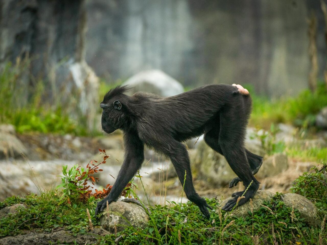 Les 9 meilleures choses à faire à Chester - 2025 - TryTravel