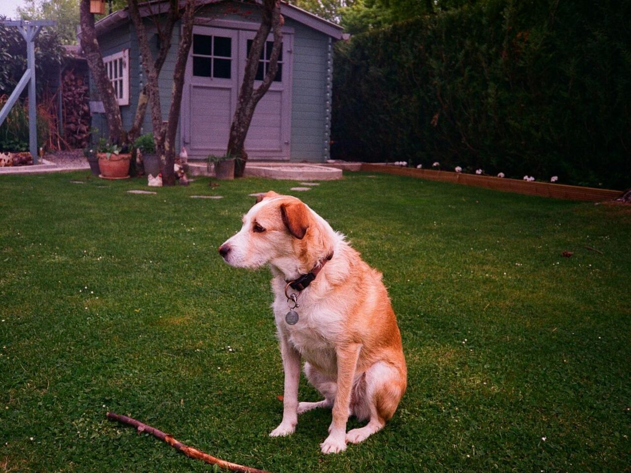 Die 8 besten Dinge, die man in Darlington tun kann - 2025 - TryTravel