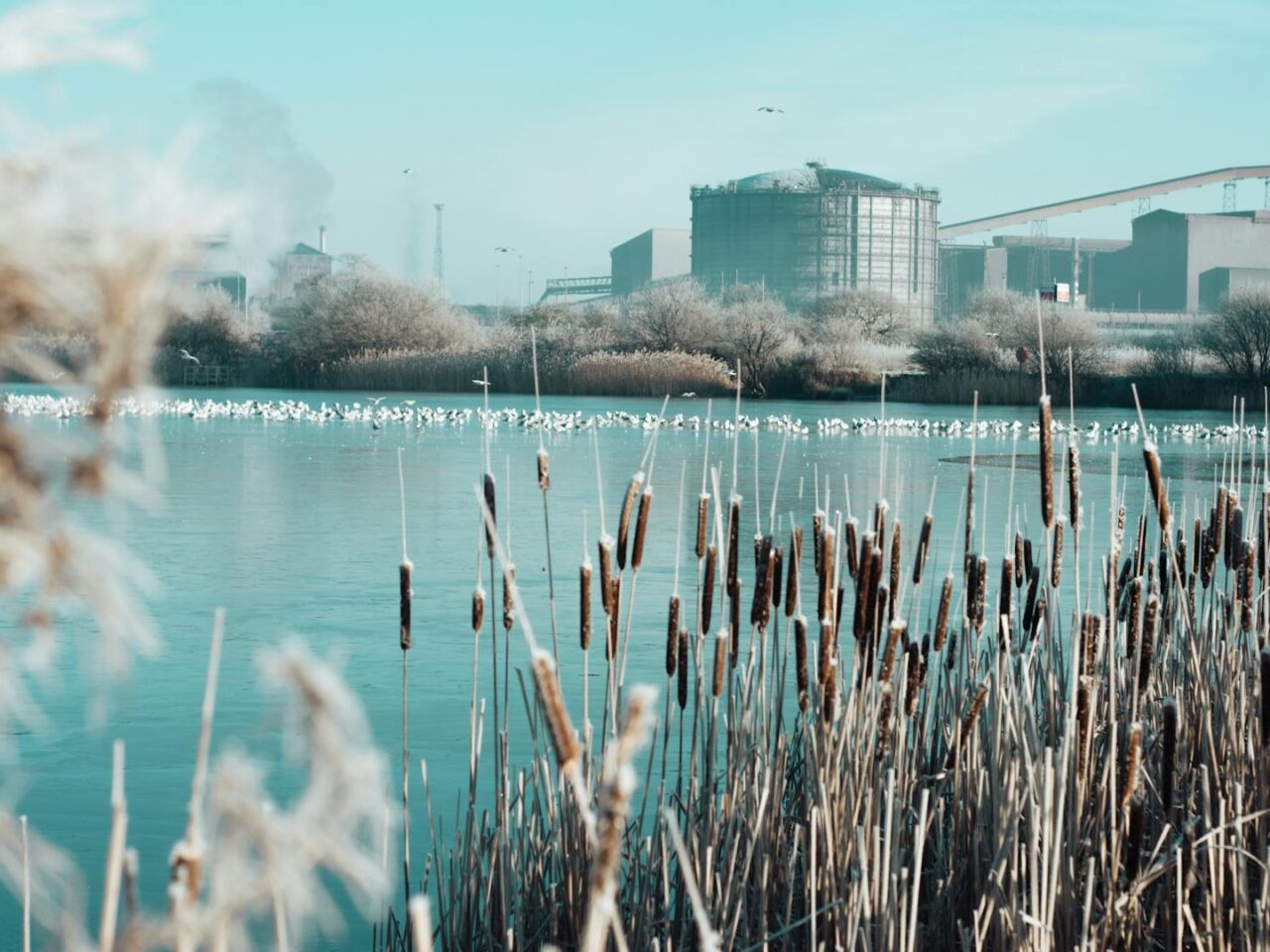 The 4 Best Things to Do in Scunthorpe - 2026 - TryTravel