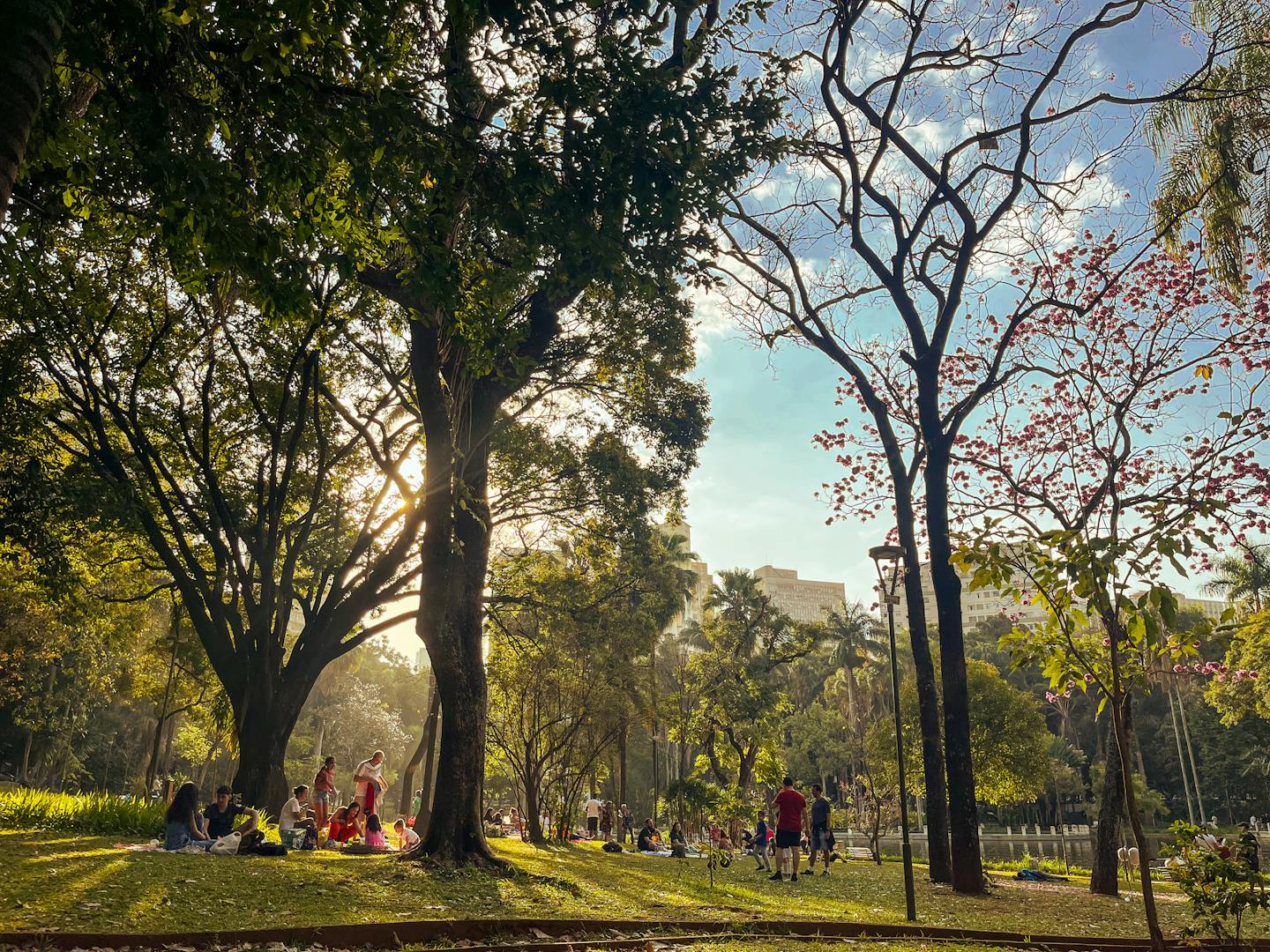 Les 3 meilleures choses à faire à Uccle - 2025 - TryTravel