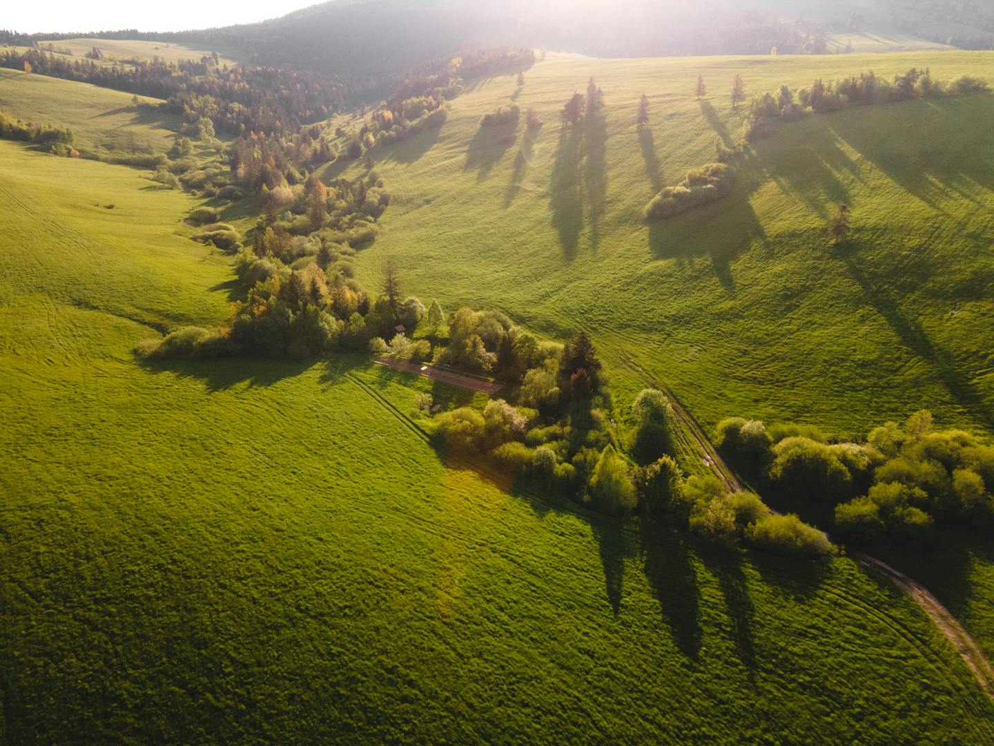 The 8 Best Things to Do in Žilina - 2025 - TryTravel