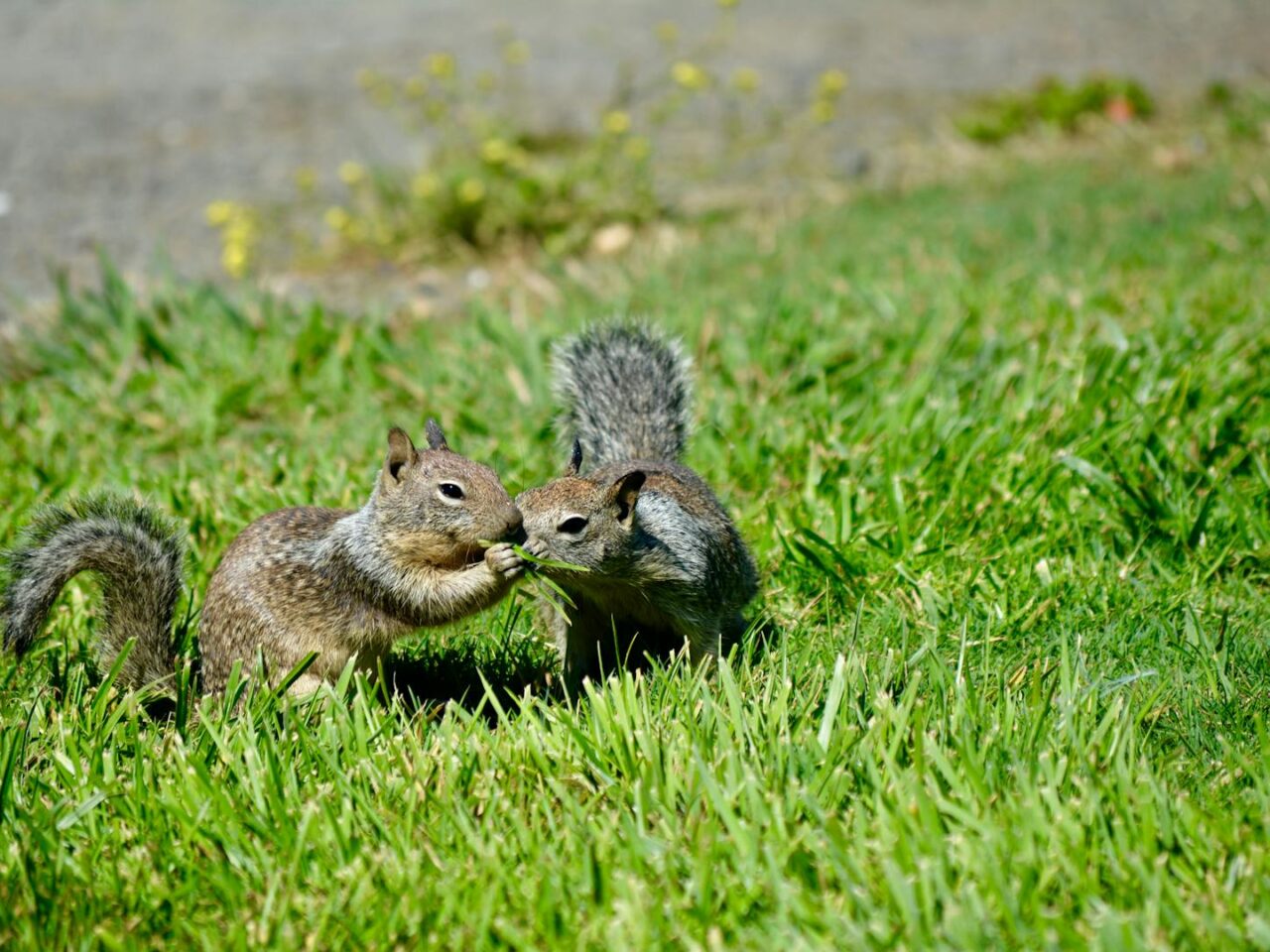 The 8 Best Things to Do in Coslada - 2025 - TryTravel