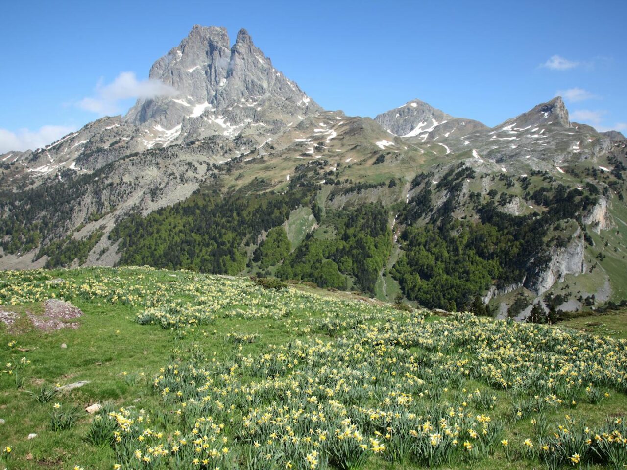 Die 7 besten Dinge, die man in Pau tun kann - 2025 - TryTravel