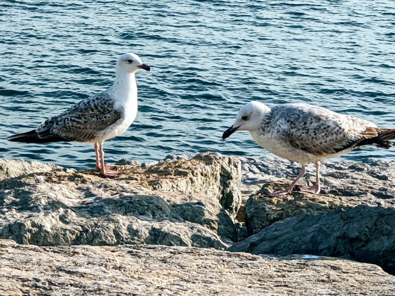 The 7 Best Things to Do in Tuzla - 2025 - TryTravel