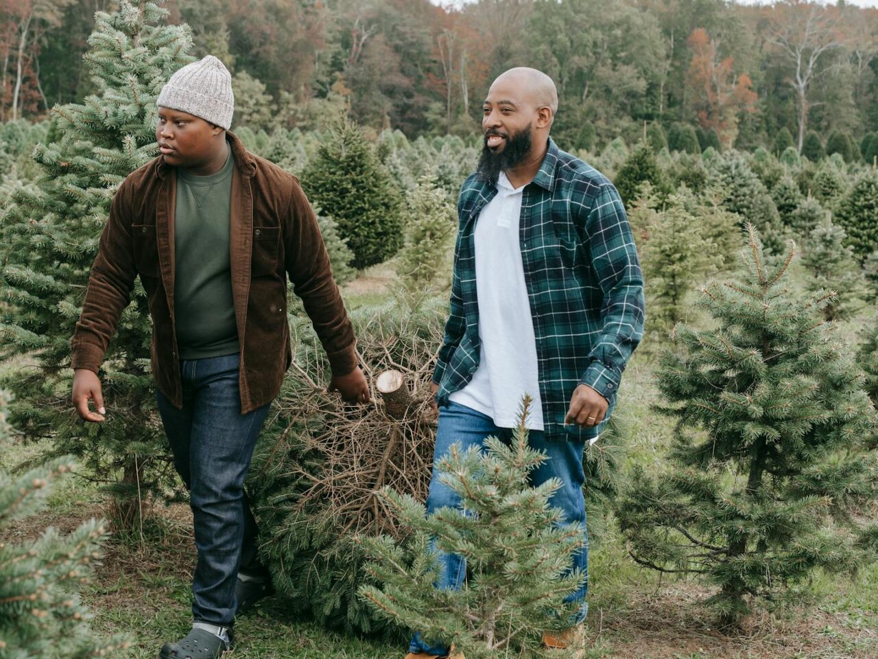 Les 5 meilleures choses à faire à Carlisle - 2025 - TryTravel