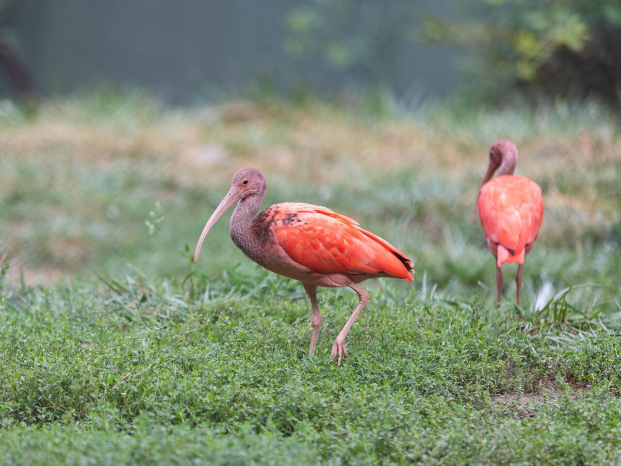 The 10 Best Things to Do in Târgu Mureș - 2025 - TryTravel