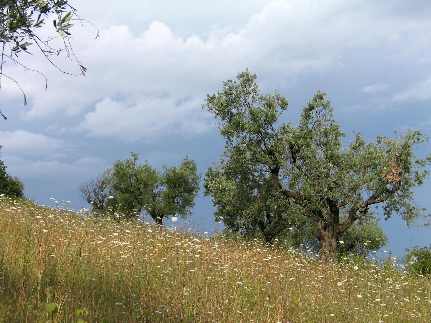 As 8 melhores coisas para fazer em Pireu - 2025 - TryTravel