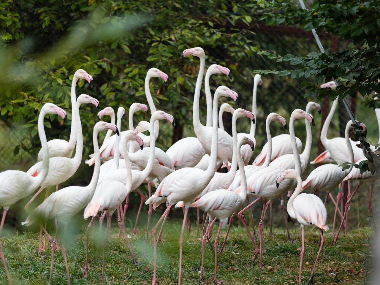 The 10 Best Things to Do in Târgu Mureș - 2025 - TryTravel