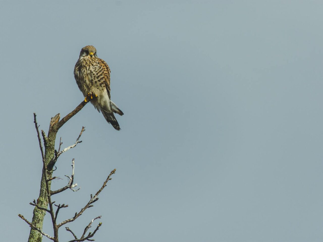 The 5 Best Things to Do in Aigáleo - 2025 - TryTravel