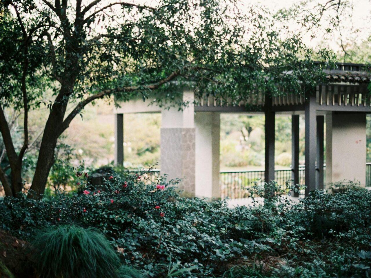 The 15 Best Things to Do in Hunedoara - 2025 - TryTravel