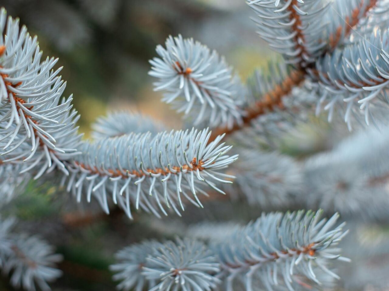 The 15 Best Things to Do in Hunedoara - 2025 - TryTravel