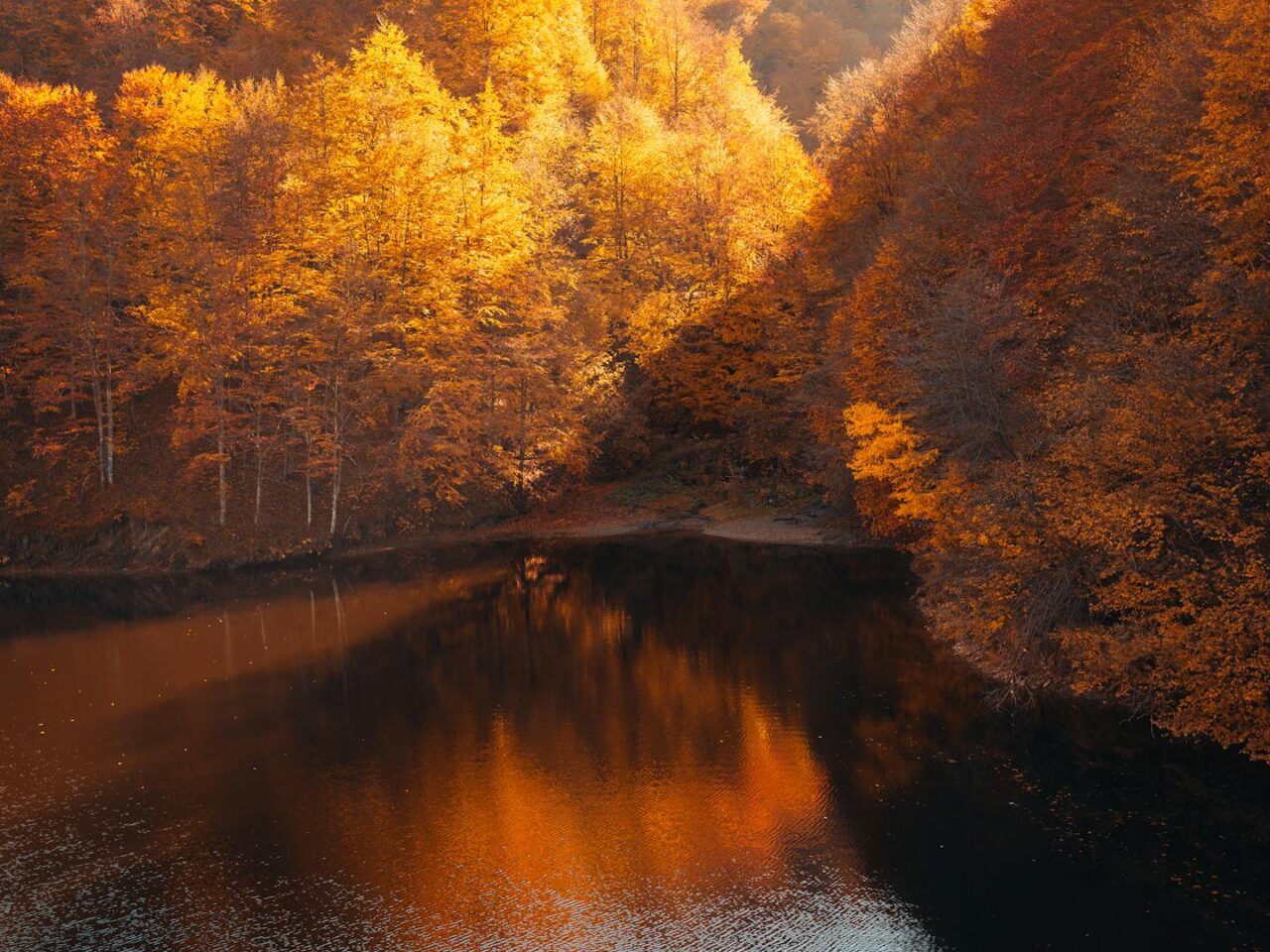 The 15 Best Things to Do in Hunedoara - 2026 - TryTravel