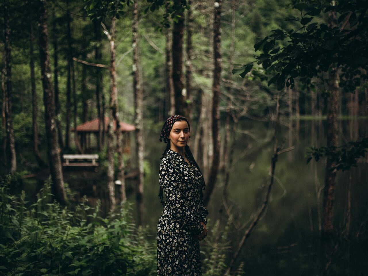 The 15 Best Things to Do in Hunedoara - 2025 - TryTravel