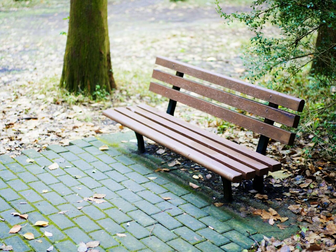 Les 1 meilleures choses à faire à Néa Ionía - 2025 - TryTravel